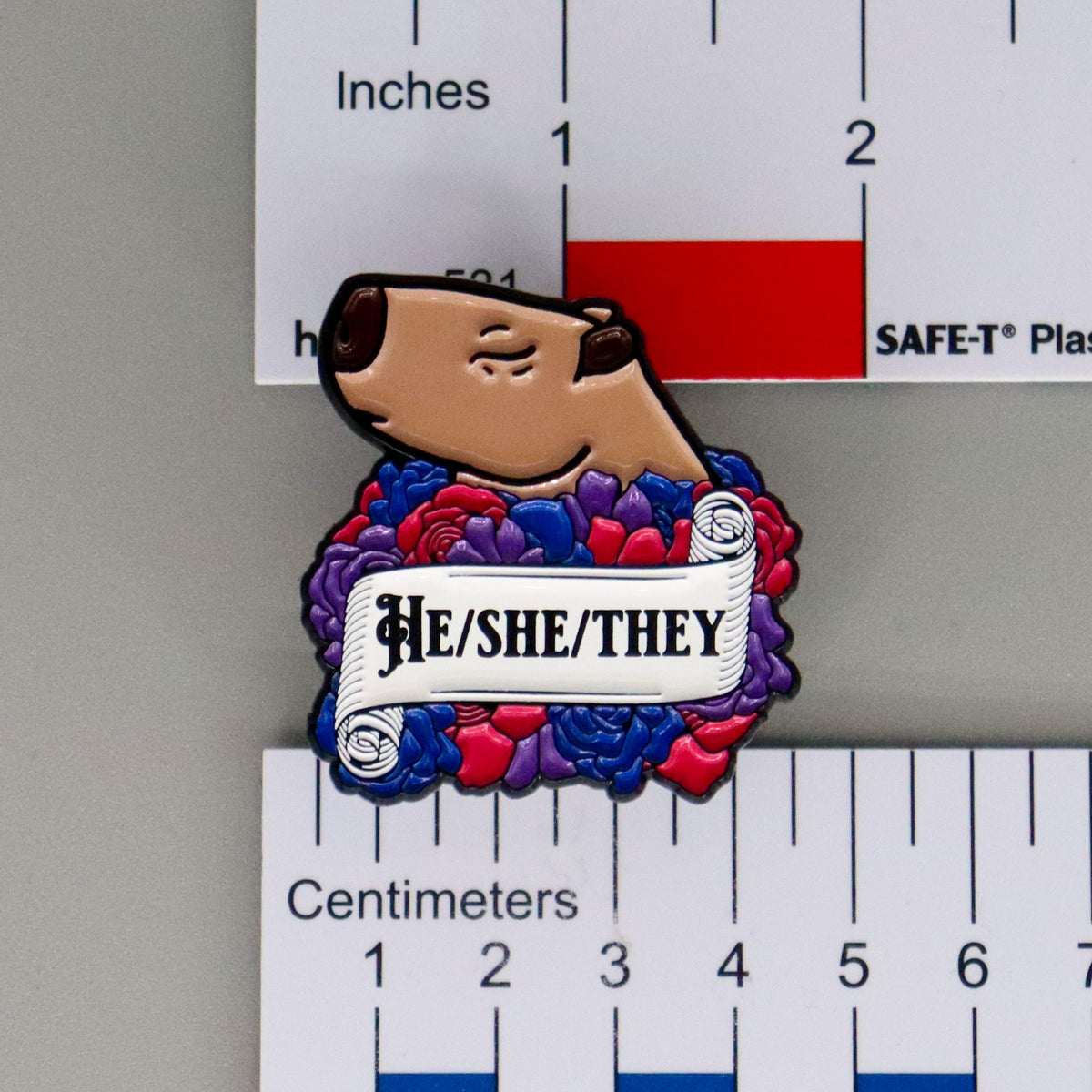 Capybara Enamel Bi Pride Pronoun Pins – NerdyKeppie