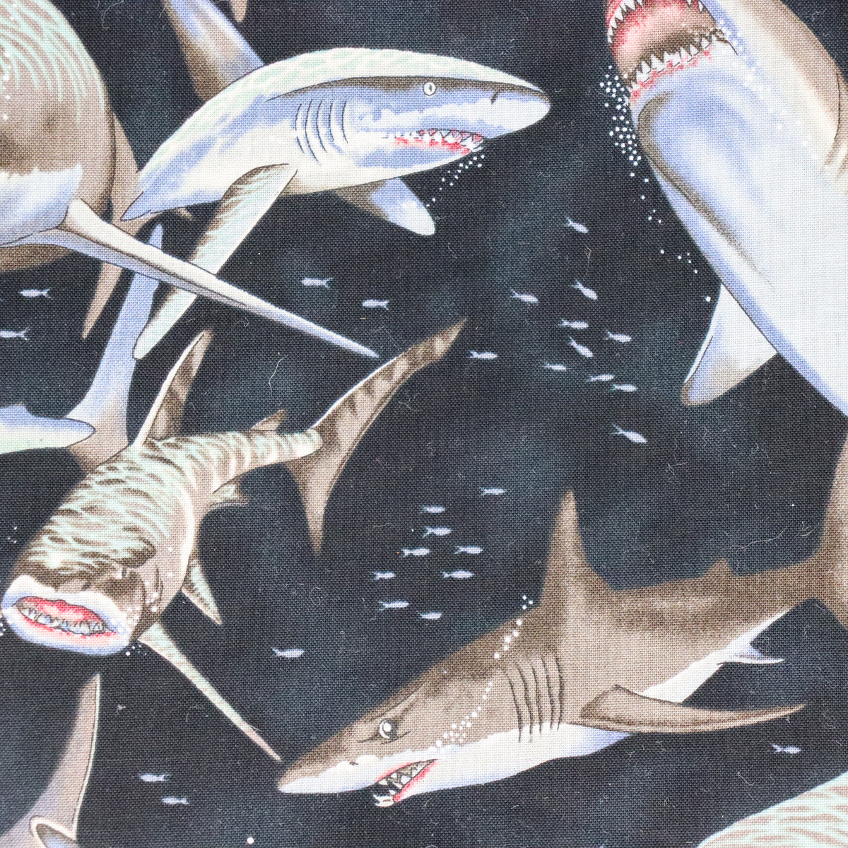 Shark Swarm Heat & Cold Packs – NerdyKeppie